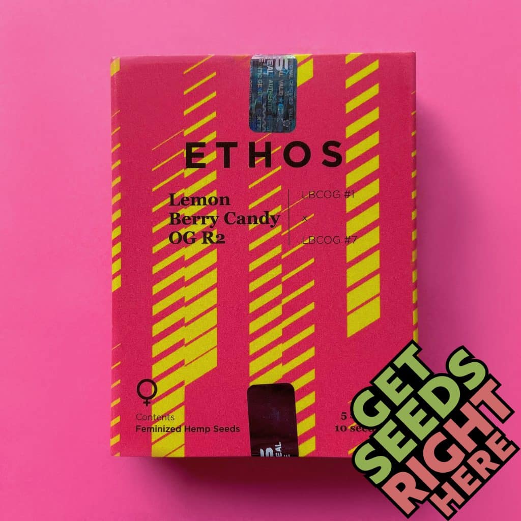 ETHOS – Get Seeds Right Here