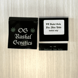 Regular - Get Seeds Right Here