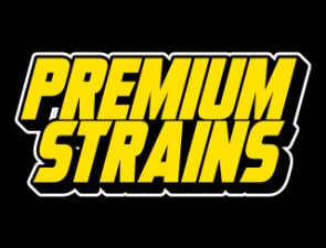 Buy Clones Online at Get Seeds Right Here! - Worldwide Shipping